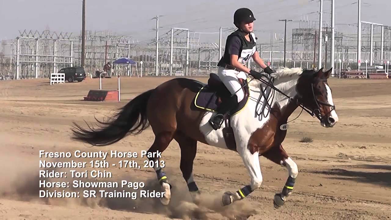 046XC Tori Chin on Showman Pago SR Training Cross Country FCHP November ...