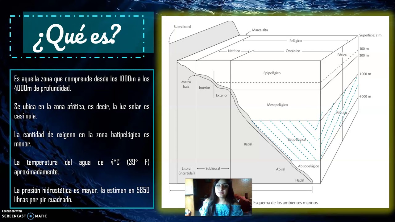 Zona Batial. 💙 - YouTube