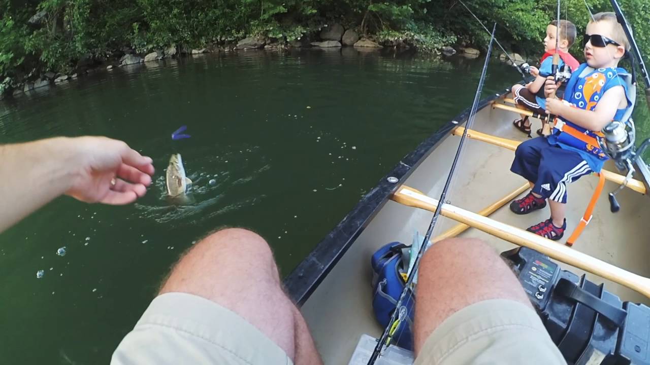 Maury River Fishing - 7-14-16 - YouTube