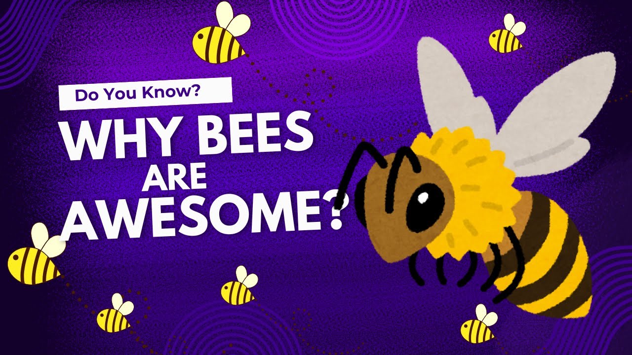 Do You Know Why Bees Are Awesome? - YouTube