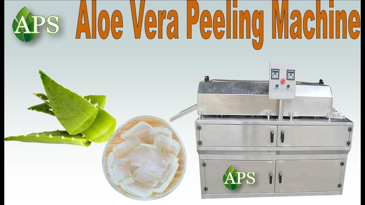 High Efficiency Aloe Vera Gel Machine // Aloe Vera Peeling Machine ...