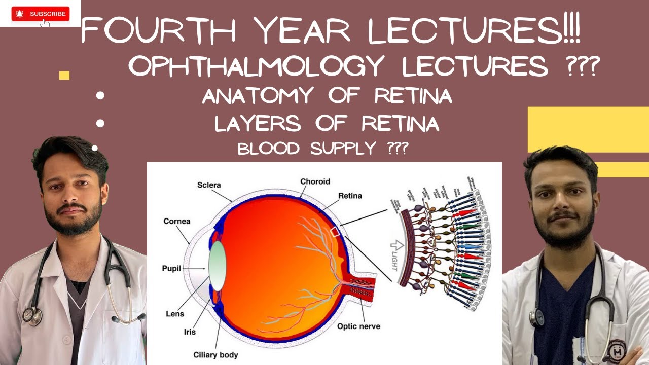 RETINA ANATOMY| OPHTHALMOLOGY LECTURES - YouTube