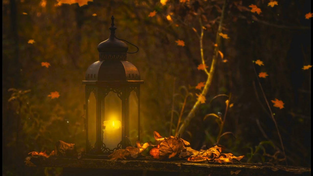 ASMR Ambience 🍂 Autumn Candle (wind, owls, crickets, rustling leaves ...
