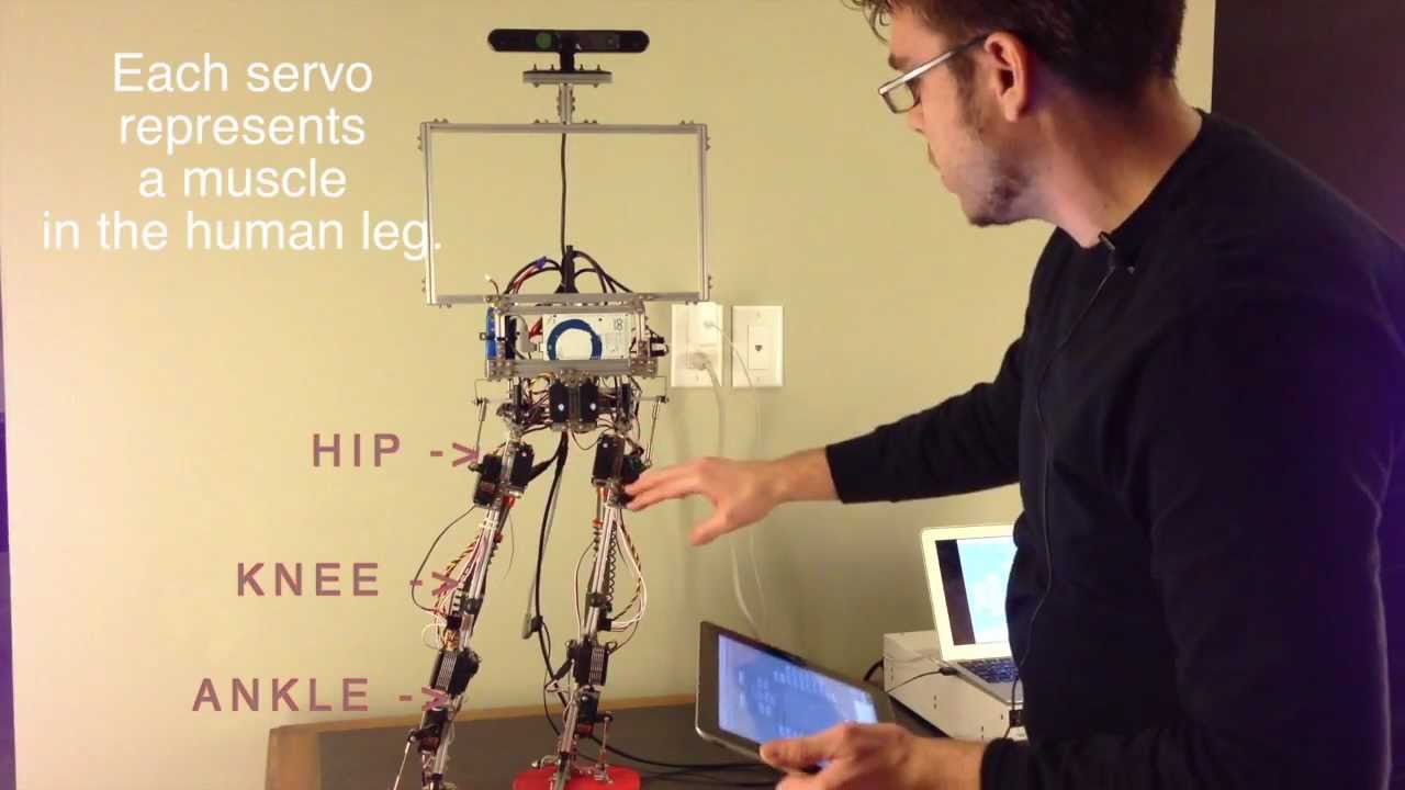 cSpring standing on one leg - biped robot - YouTube