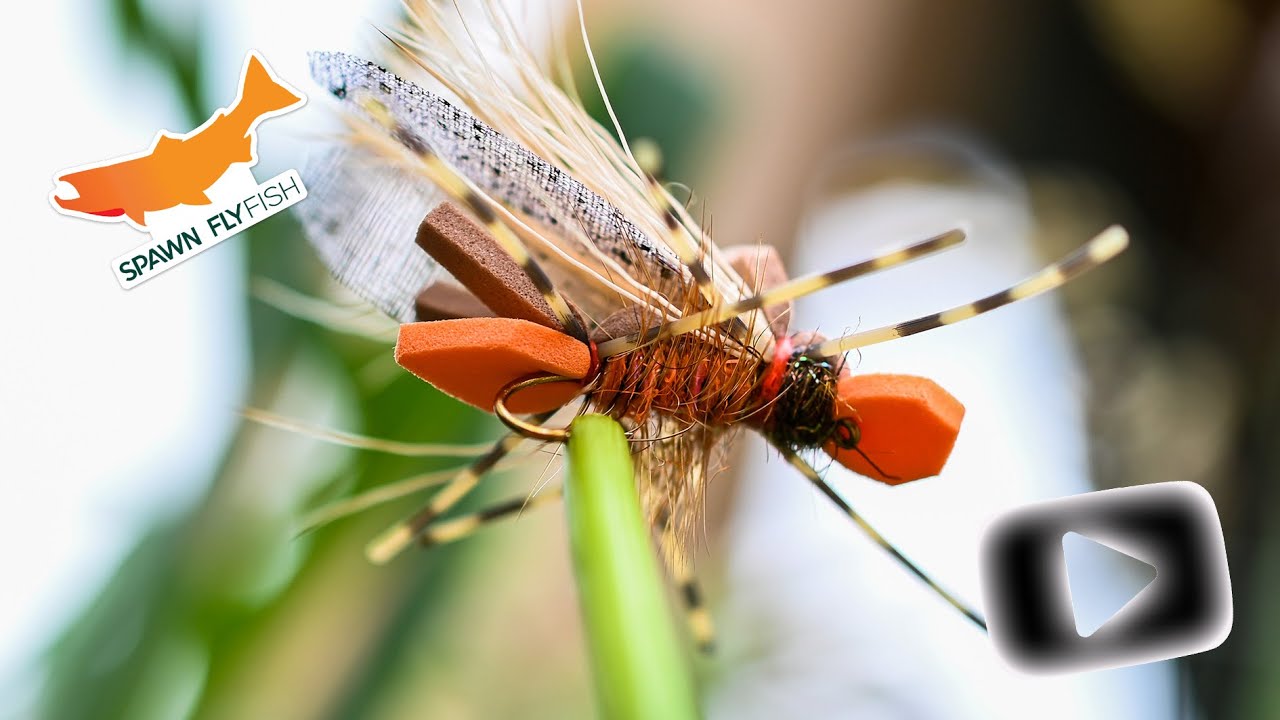 Stonefly - Skwala Amy's Ant Fly Pattern - Fly Tying Tutorial - How to ...