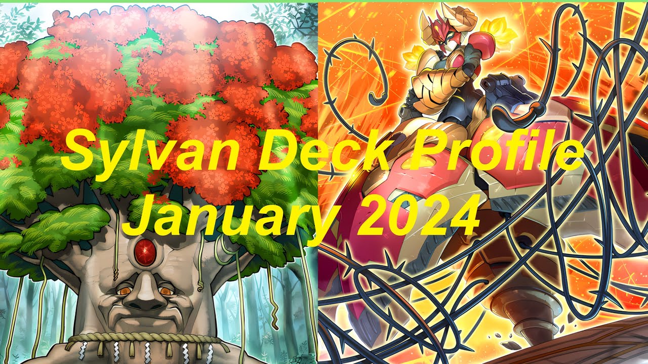 Sylvan Deck Profile - January 2024 - YouTube