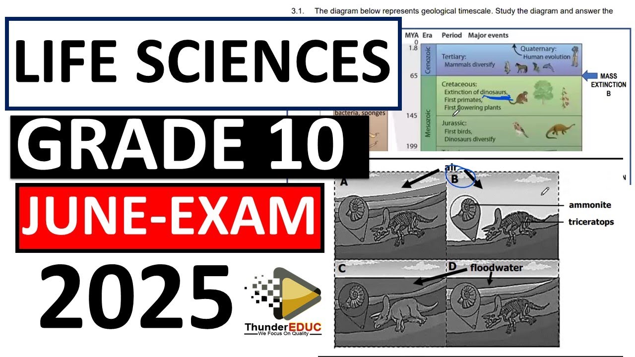 2025 life sciences grade 10 june exam prep 2025, thundereduc grade 10 ...