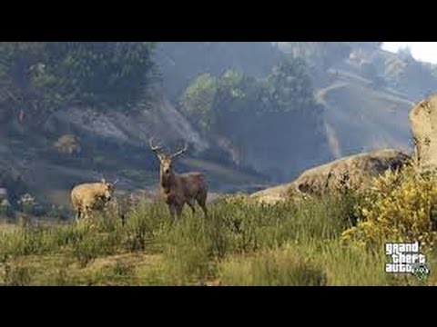 GTA V "Change Weather" Cheat Code (PS4/XBOXOne) - YouTube