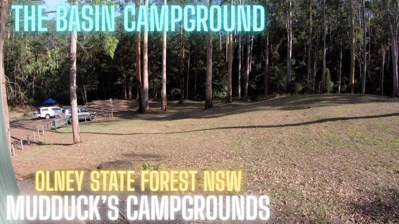 The Basin Campground Olney State forest NSW#campgrounds # ...