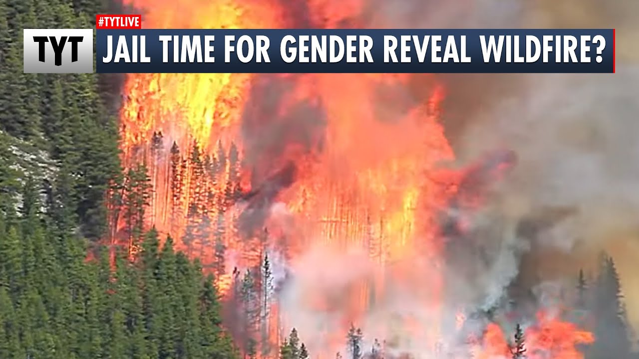 Gender Reveal Wildfire Sparks Criminal Charges - YouTube