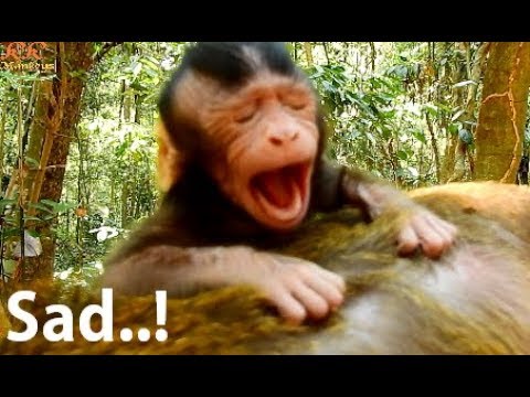 Full Angry ! Toni close cry tell mom_Toni Scare face Grandma Jollerol ...