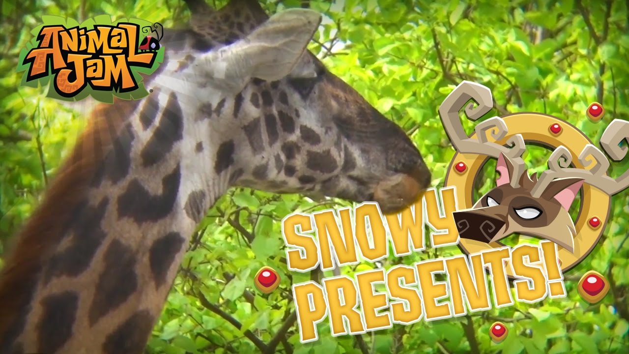 Snowyclaw in Tanzania - Giraffes! - YouTube