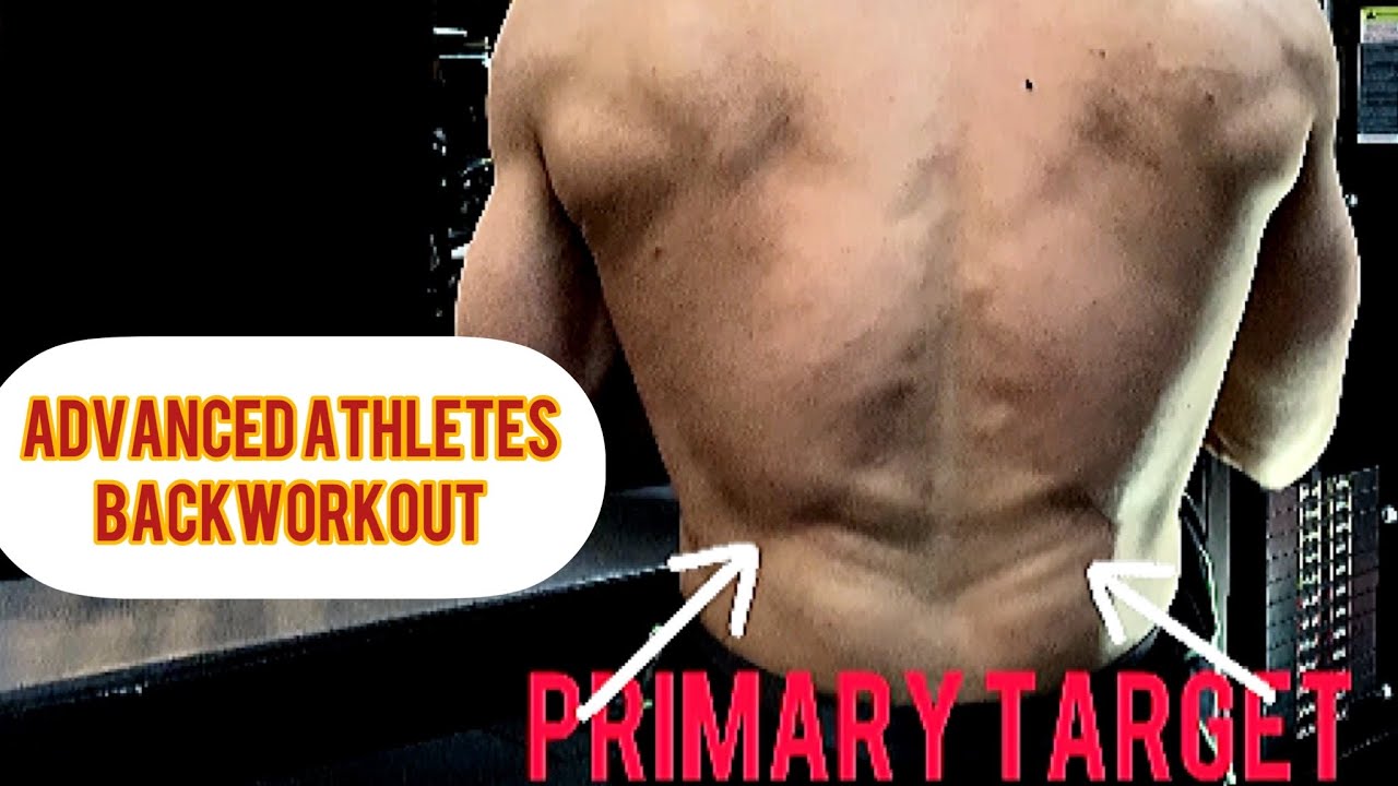 Lower Back Christmas Tree Workout - YouTube