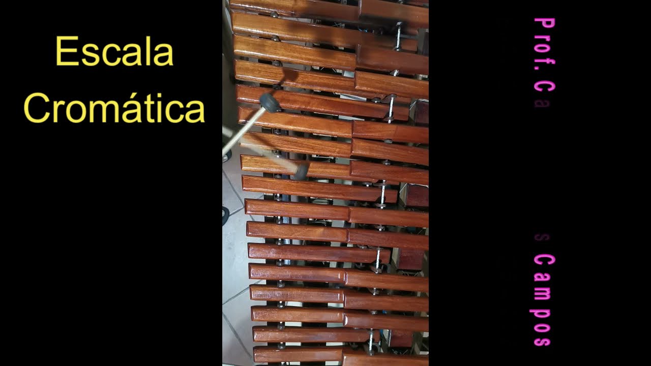 Escala cromática (tutorial marimba) - YouTube