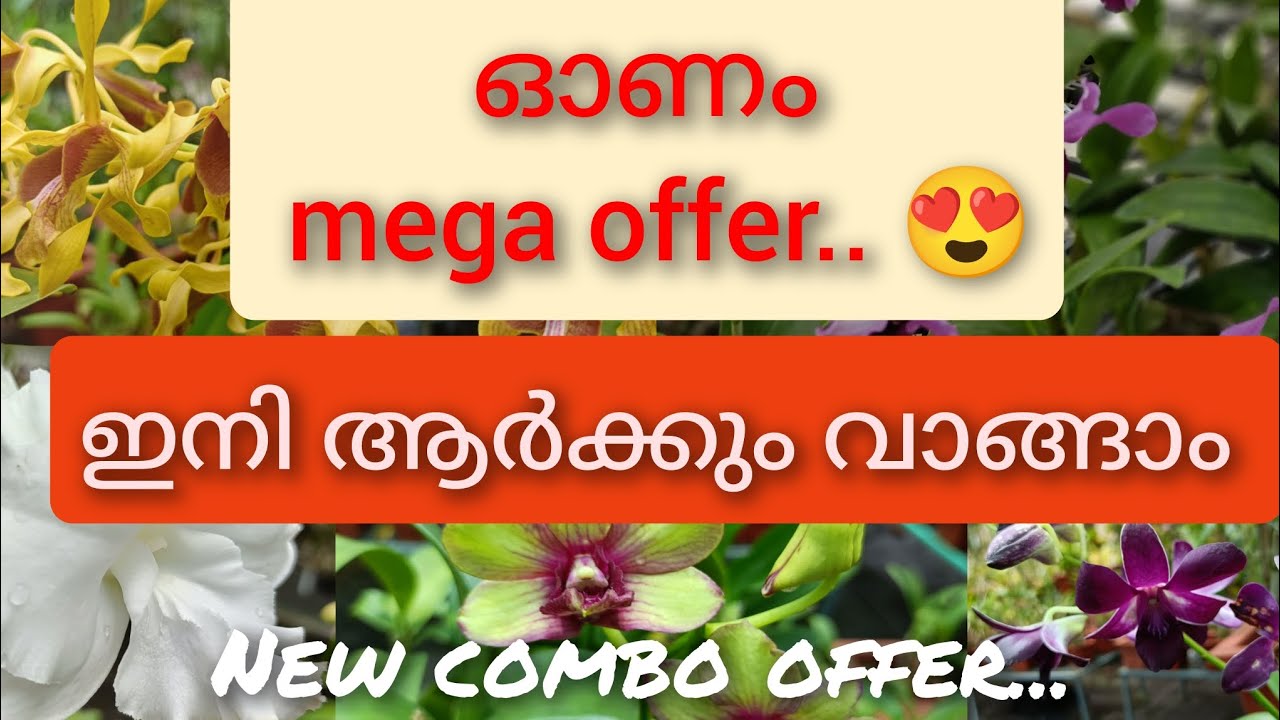 Now anyone can buy orchid.. Onam mega offer..!! - YouTube