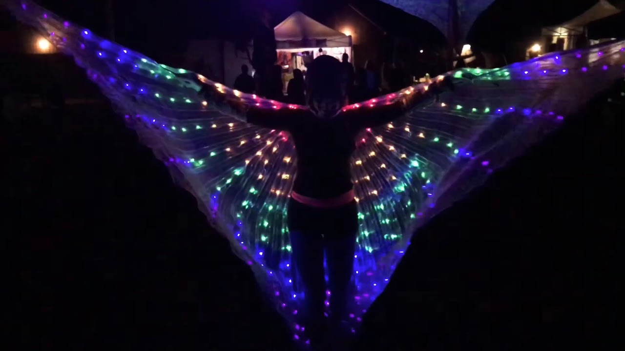Dancing with Lights at Digital Forest - YouTube