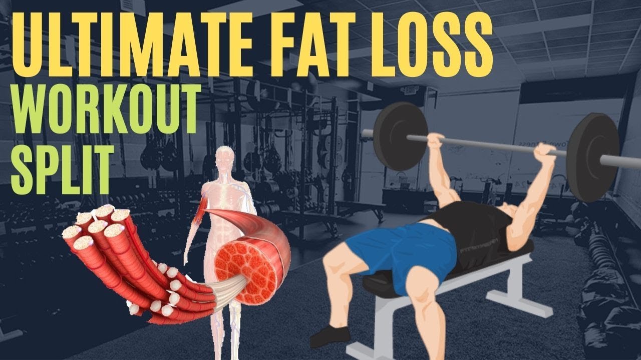 Try this Modified FULL Body Workout Split - YouTube