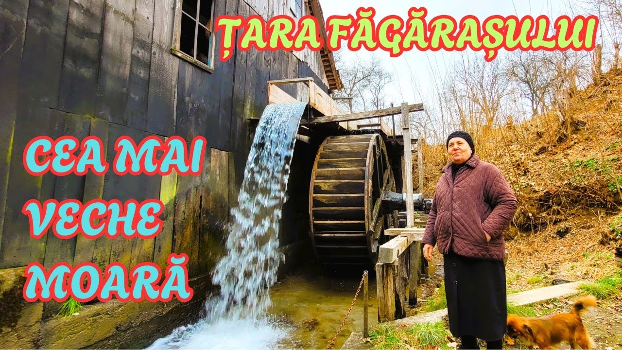 N-au cedat moara comuniștilor, dar au plătit cu libertatea! Cea mai ...