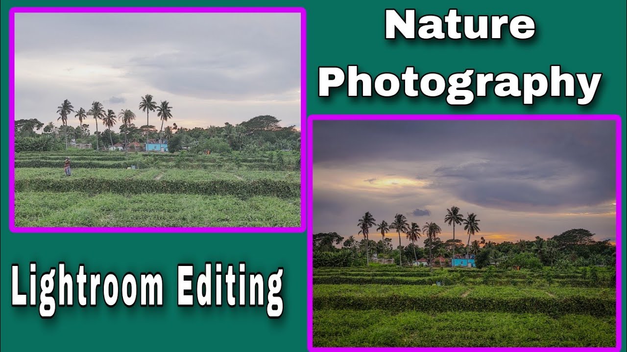 Nature Photography | Lightroom Editing Tutorial | - YouTube