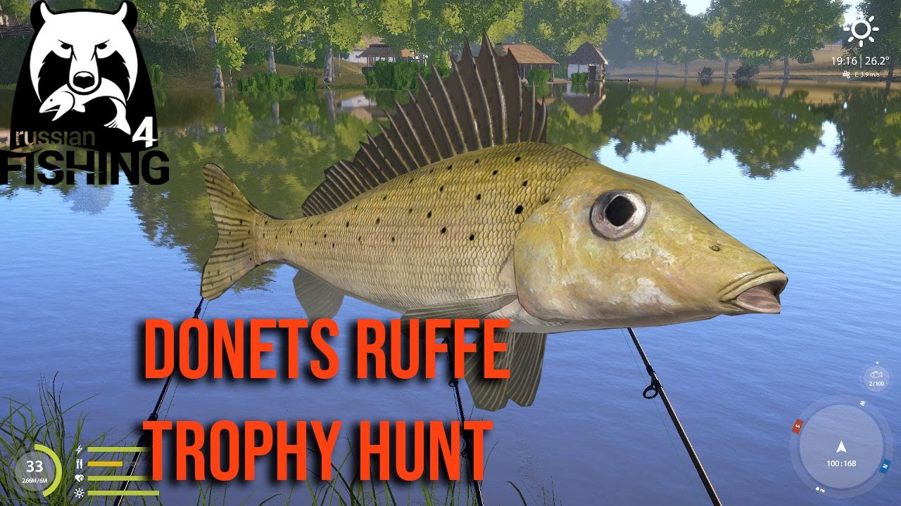 Donets Ruffe Hunt at Seversky Donets River - Russian Fishing 4 #rf4 ...