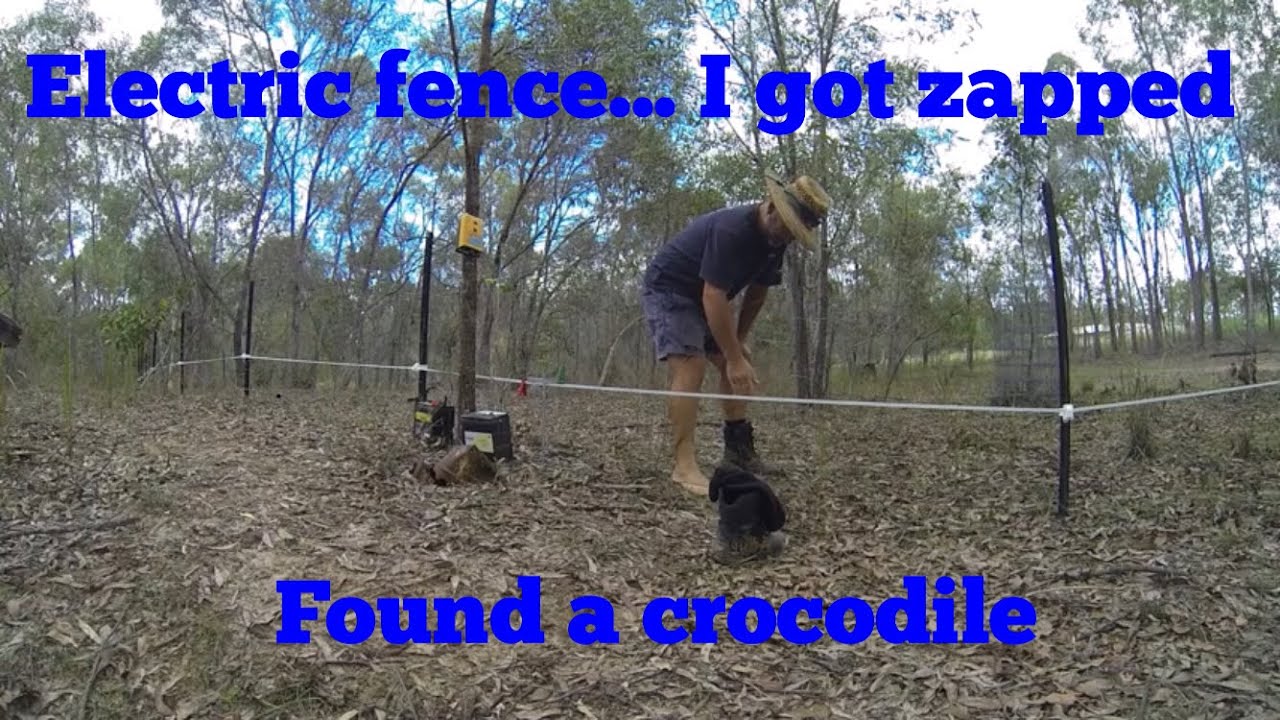 Electric fence shock.. I got zapped at 12:09 & 16:00 #funny #farmlife # ...