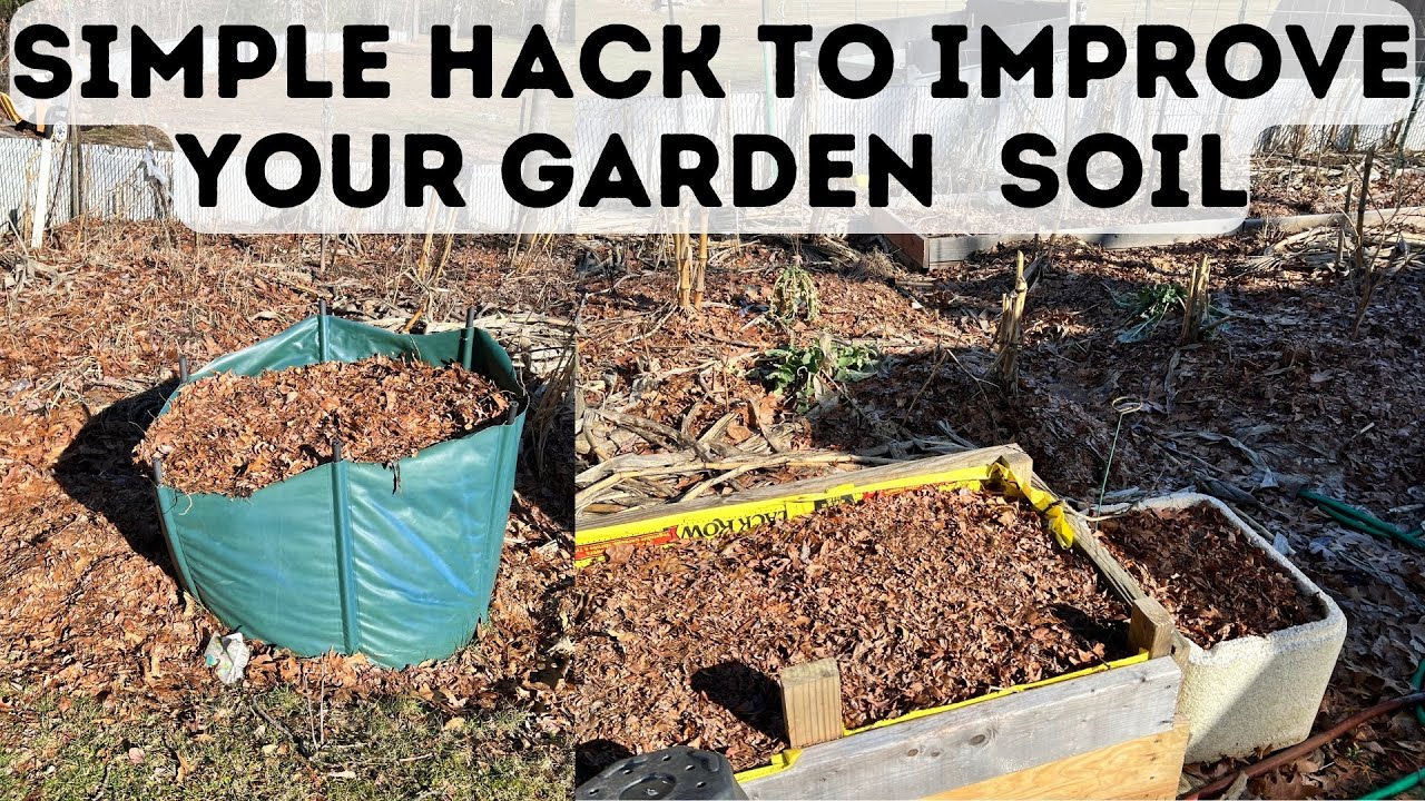 Simple Garden Hack - How To Improve Your Garden Soil Over The Winter - YouTube