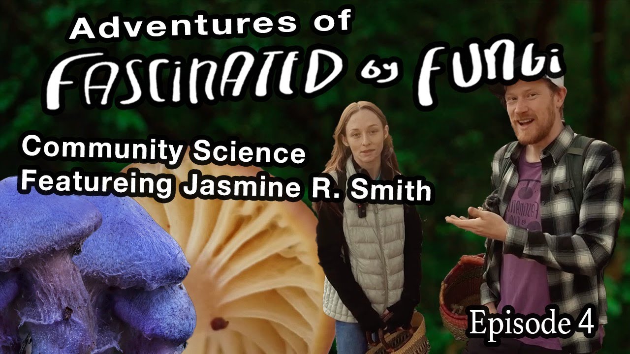 Adventures of Fascinated By Fungi: How to Become a Mycologist Through ...