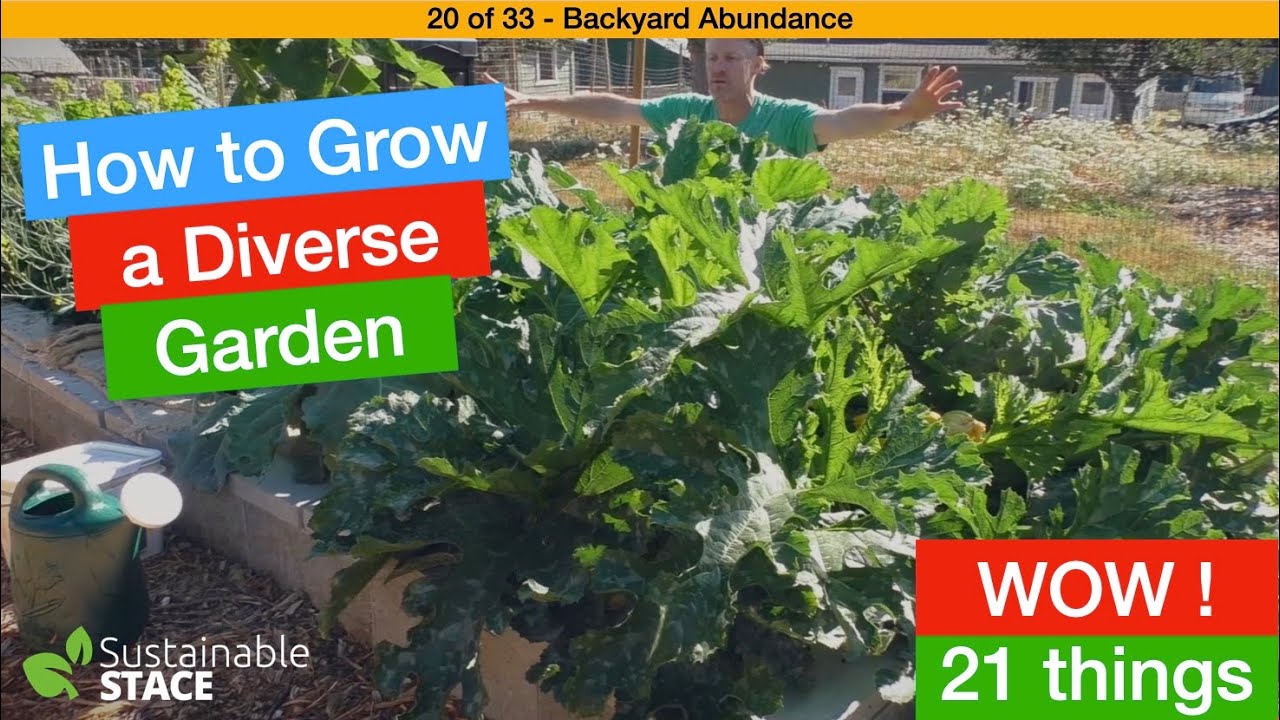 20 of 33 - Backyard Abundance - How to Grow a Diverse Garden - YouTube