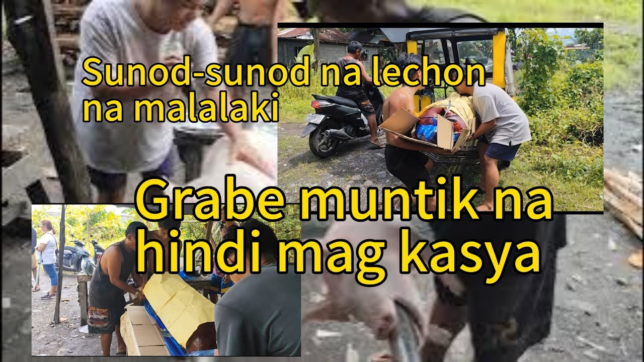 HAPPY SUNDAY LECHON ORDERS MGA KA LECHON | ILANG ARAW NA MALALAKI ANG ...