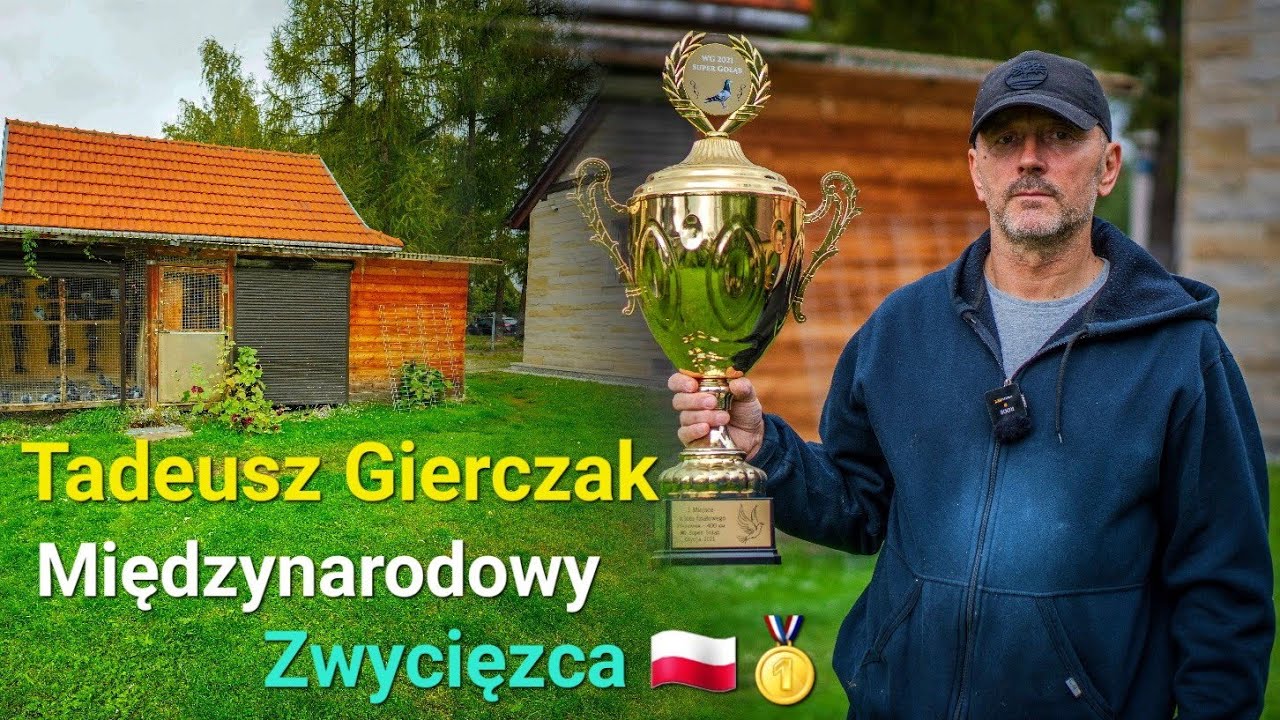 Tadeusz Gierczak - Międzynarodowe sukcesy na Wspólnych Gołębnikach 🎉🇵🇱🥇 ...