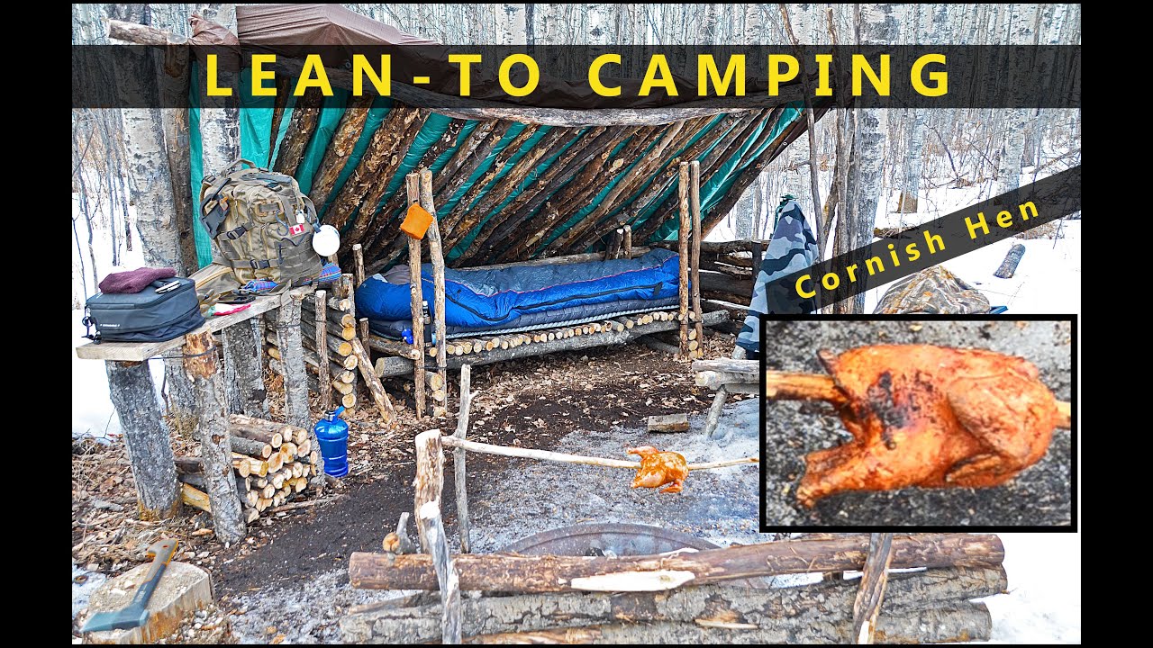Winter Bushcraft Lean-To Shelter | Campfire Cooking Cornish Hen ...