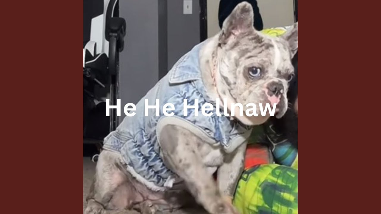 He He Hell Naw - YouTube