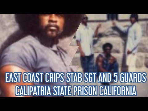 EAST COAST CRIPS RUSH CORRECTIONAL OFFICERS STAB A SGT AND 5 GUARDS ...