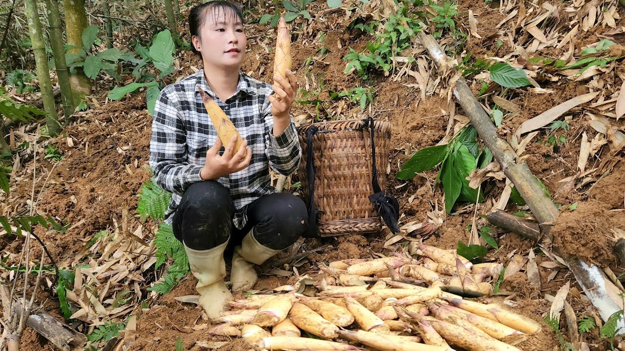 30 days with my daughter harvesting bamboo shoots, cabbage and cooking ...