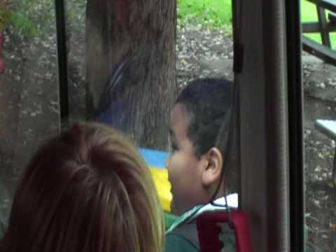 hilarious black kid, running after the bus, - YouTube