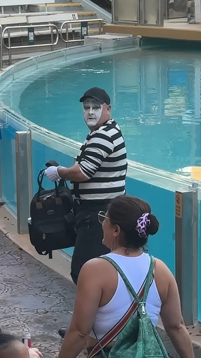 Wait What 😂🤣 Tom Mime Seaworld Antics Seaworldmime Funny Shorts