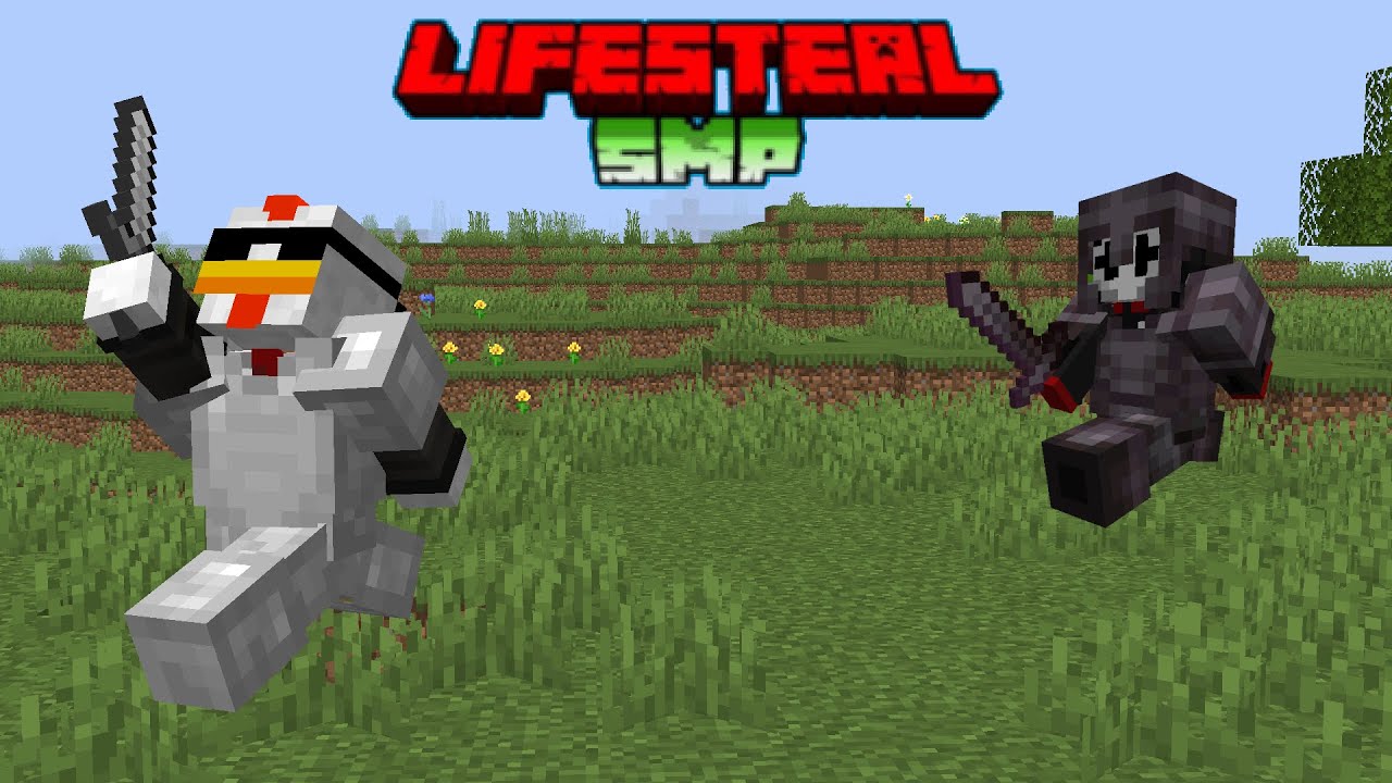 My Start on The Lifesteal SMP (Public) - YouTube