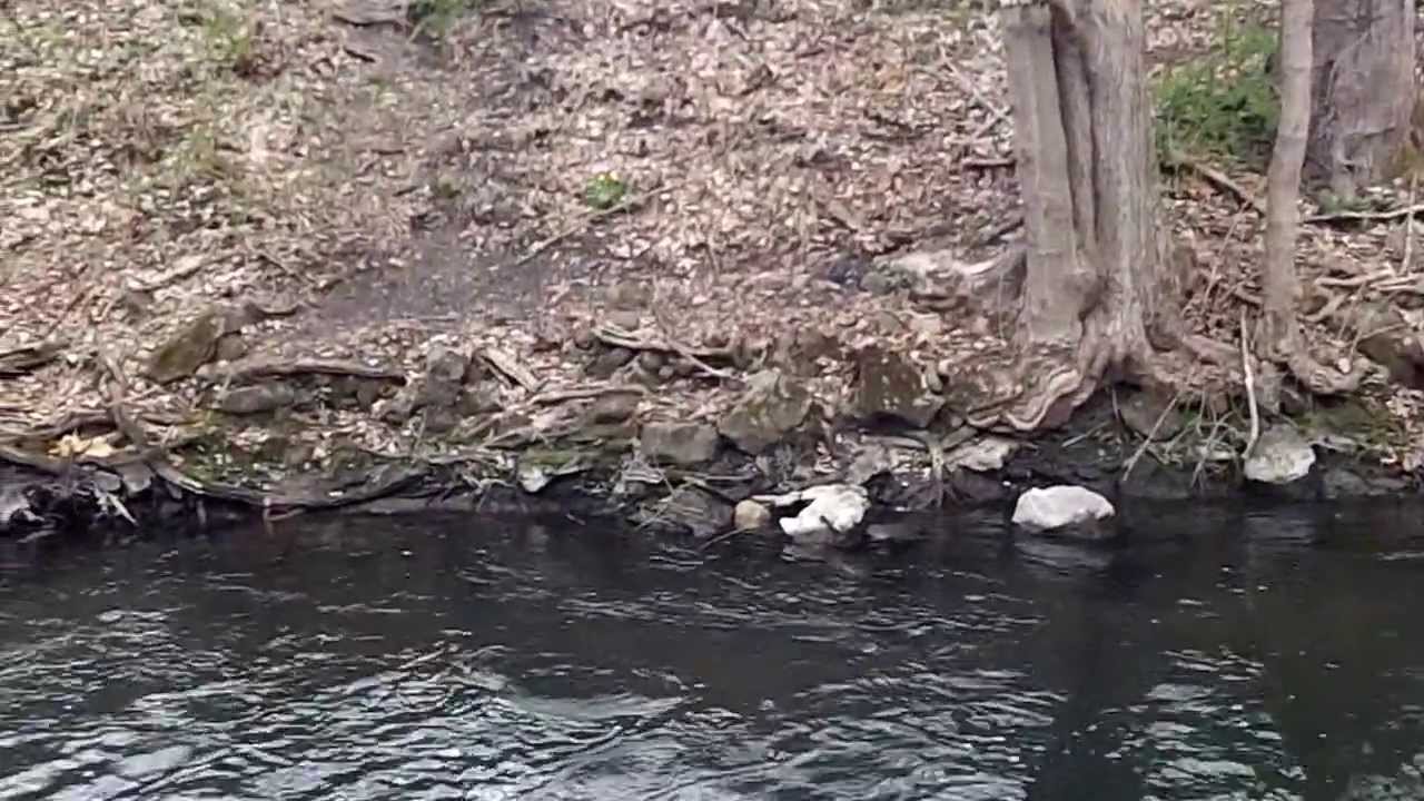 The Paulinskill River - YouTube