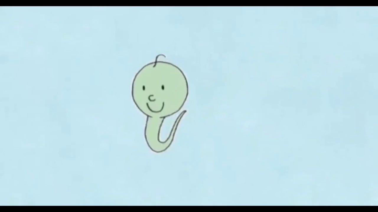 Summarizes the baby birth process in 2 minutes | Quá trình sinh em bé ...