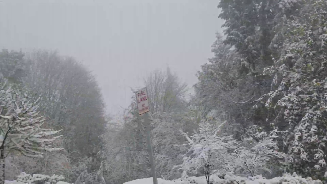 Snow crazy in Seattle unlike before... - YouTube