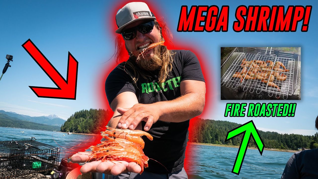 MEGA Shrimp FISHING Fire Roasted CATCH & COOK! - YouTube