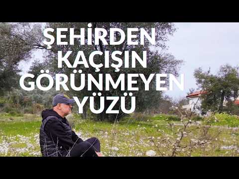 İstanbul’dan Göç Etmenin Gerçek Bedeli: Sağlık mı, Para mı?