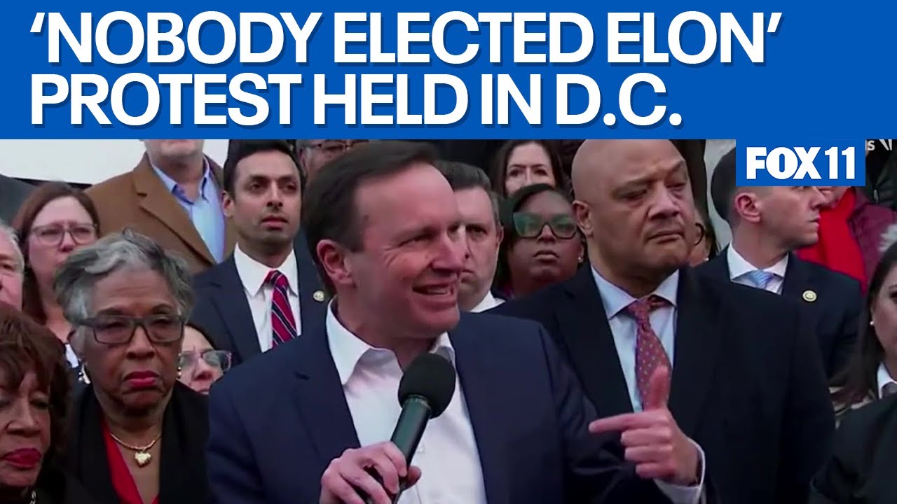 'Nobody Elected Elon' protest held in D.C. - YouTube