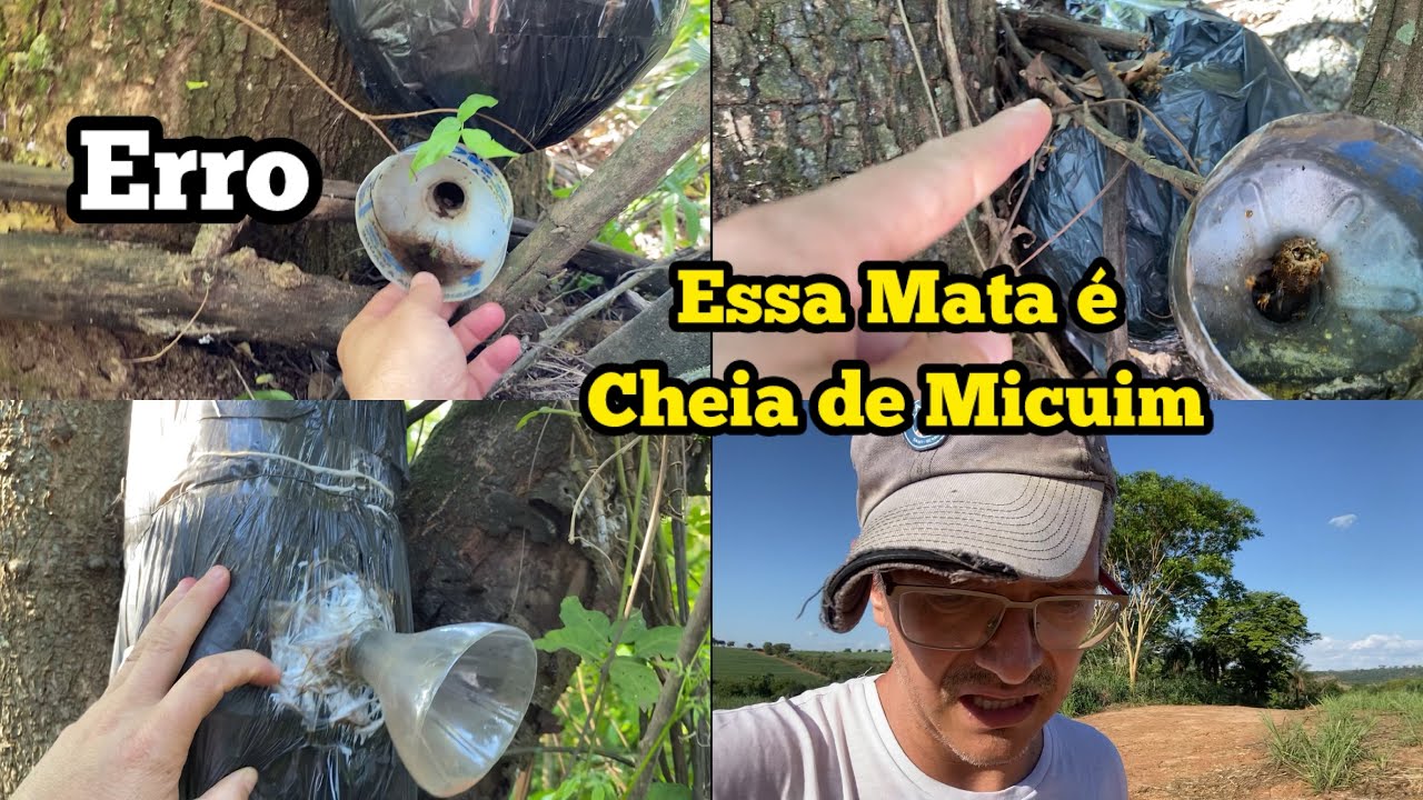 FUI VISITAR AS ISCAS NA MATA QUE EU TINHA ENCHIDO DE MICUIM - YouTube