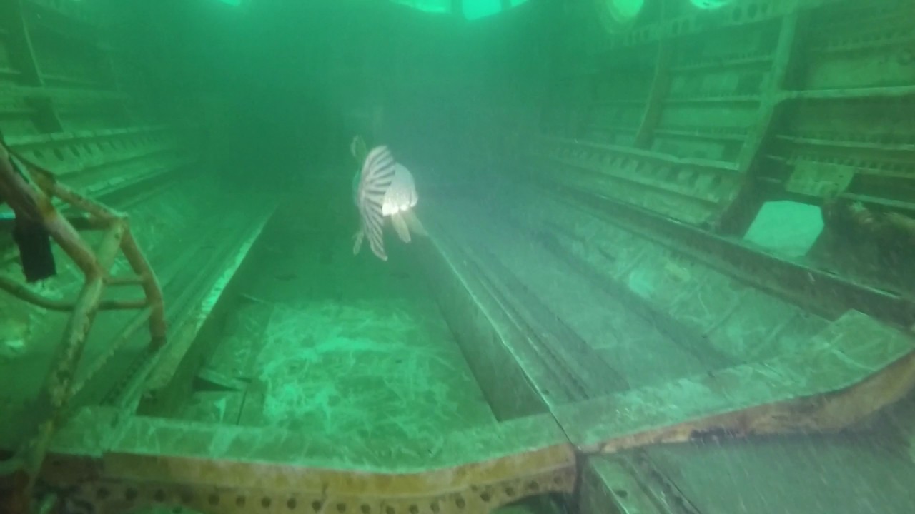 Diving at Dosthill Quarry - YouTube