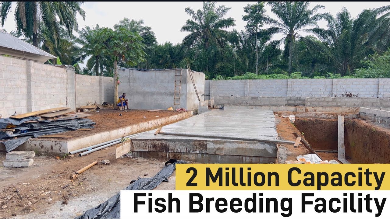 FIFIAC2mBF vol 1 : CONSTRUCTION OF A 2 million fish breeding facility ...