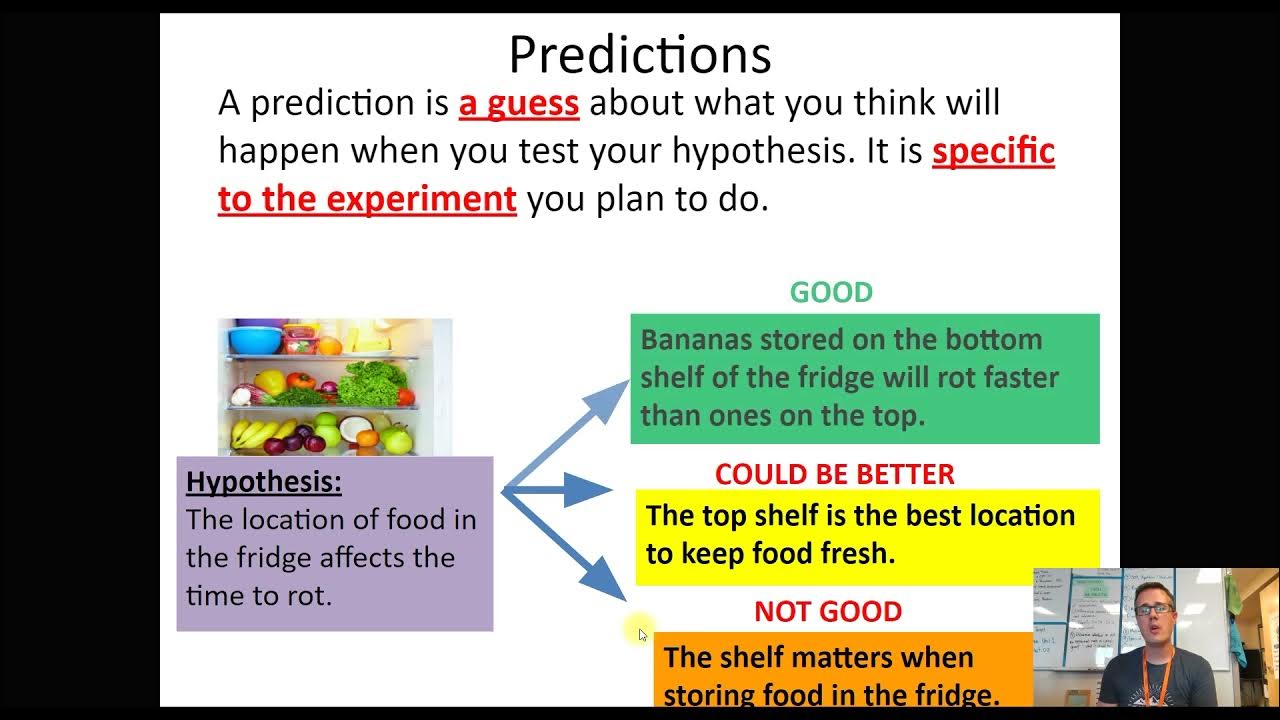 Hypothesis and Prediction - YouTube