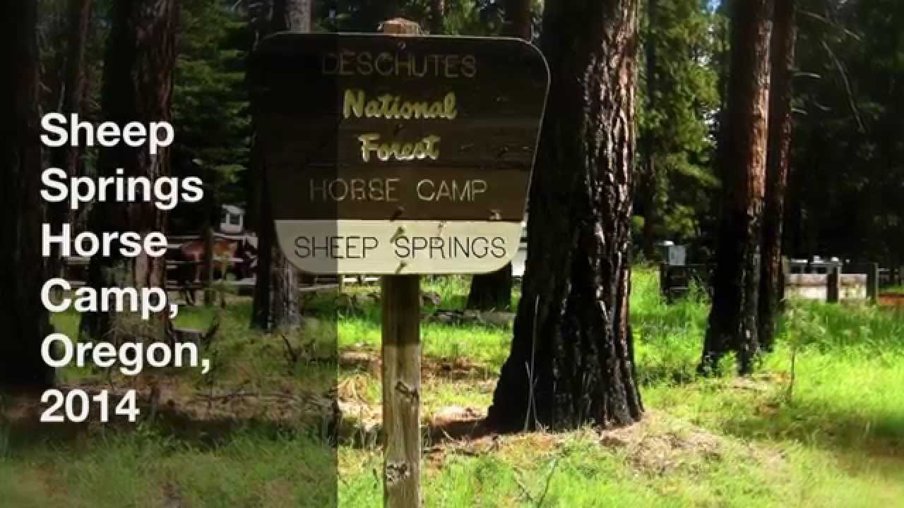 Sheep Springs Horse Camp, Oregon, Riding The Trails of The Metolius ...