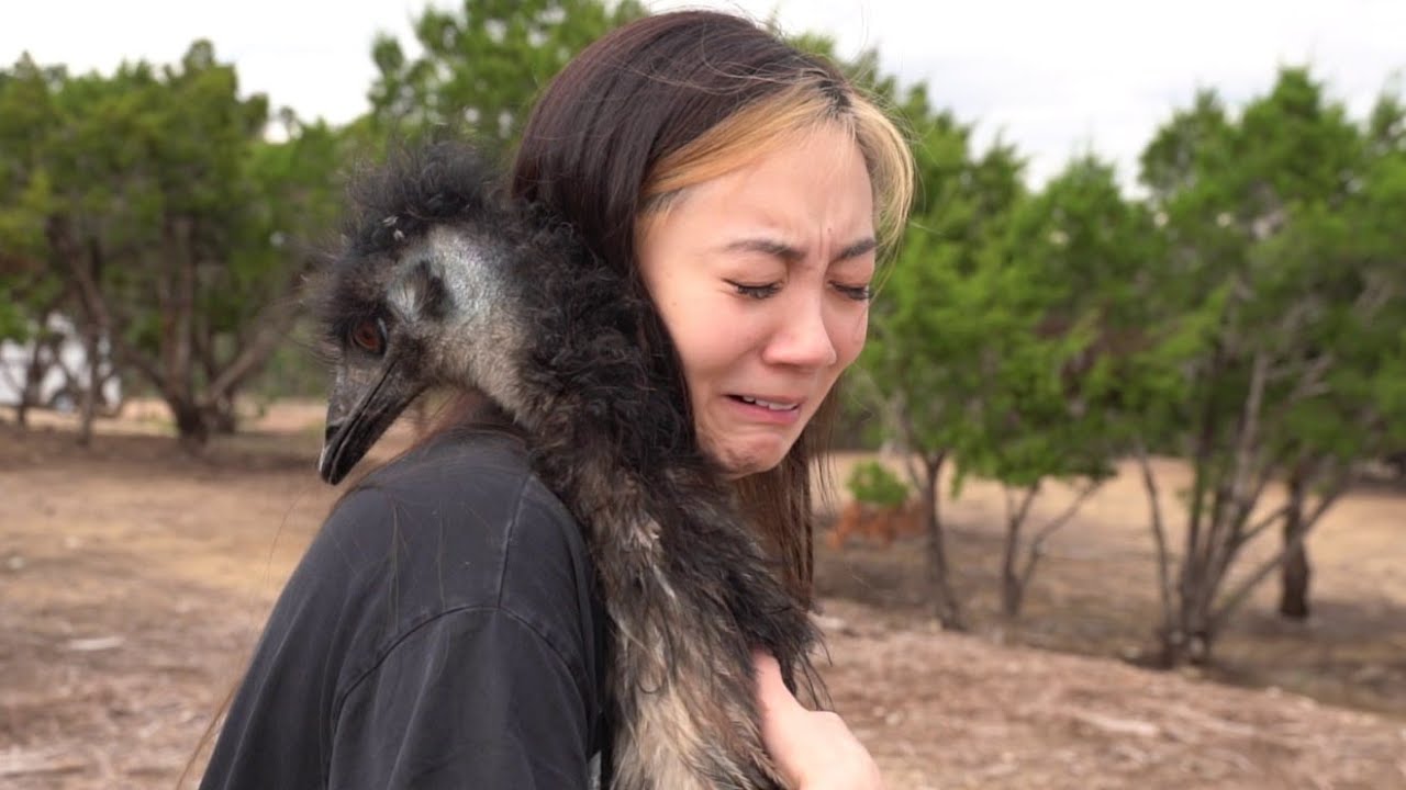 Fanfan visits Maya at Alveus - YouTube