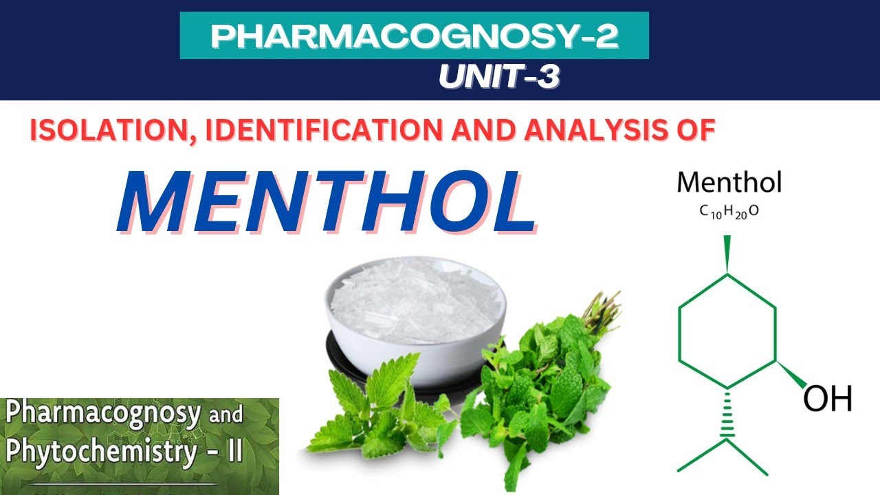 Menthol || isolation identification and analysis of menthol | menthol ...